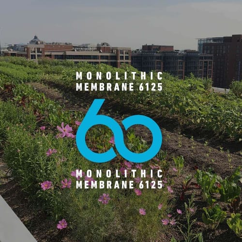 60 Years Proven Performance – MM6125®